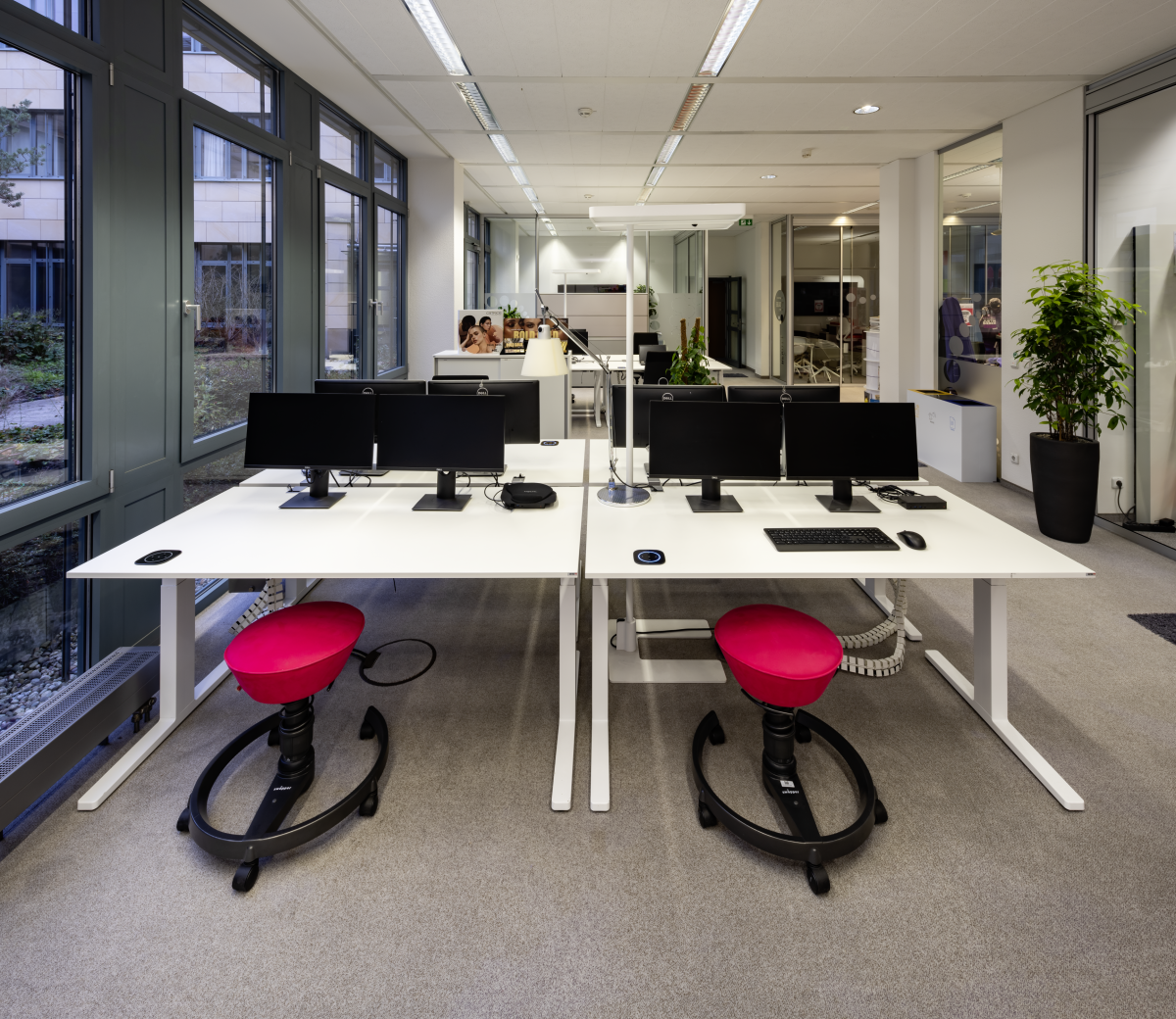 Case Cosnova - GoBright Desk Booking System