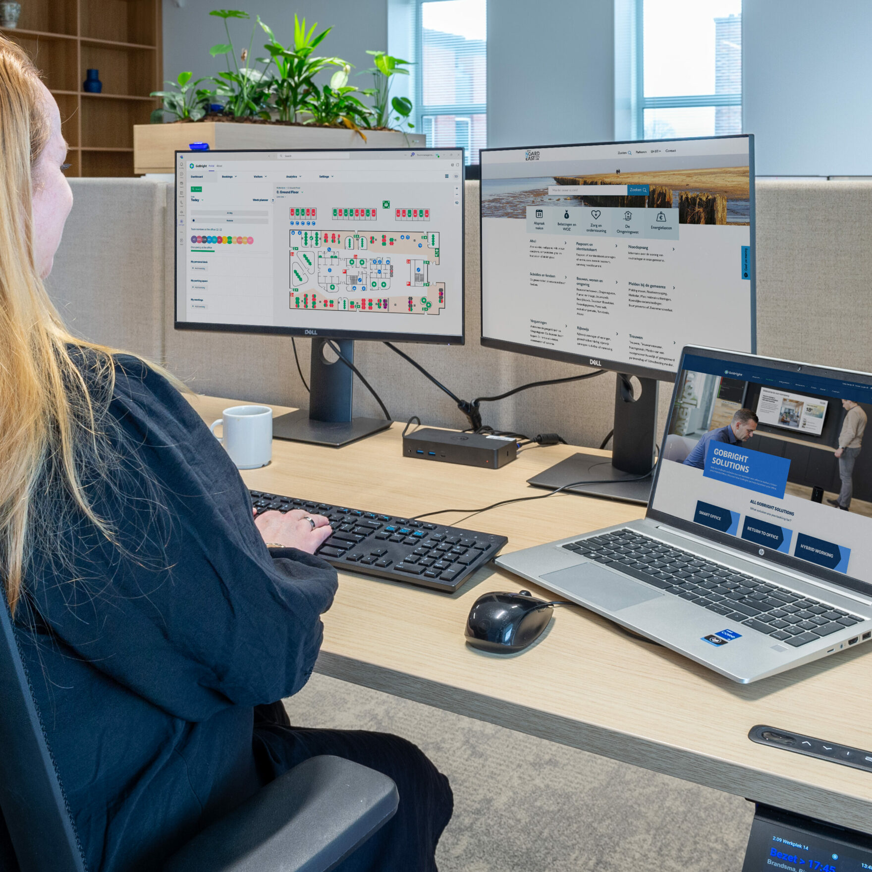 Workspace Management - GoBright